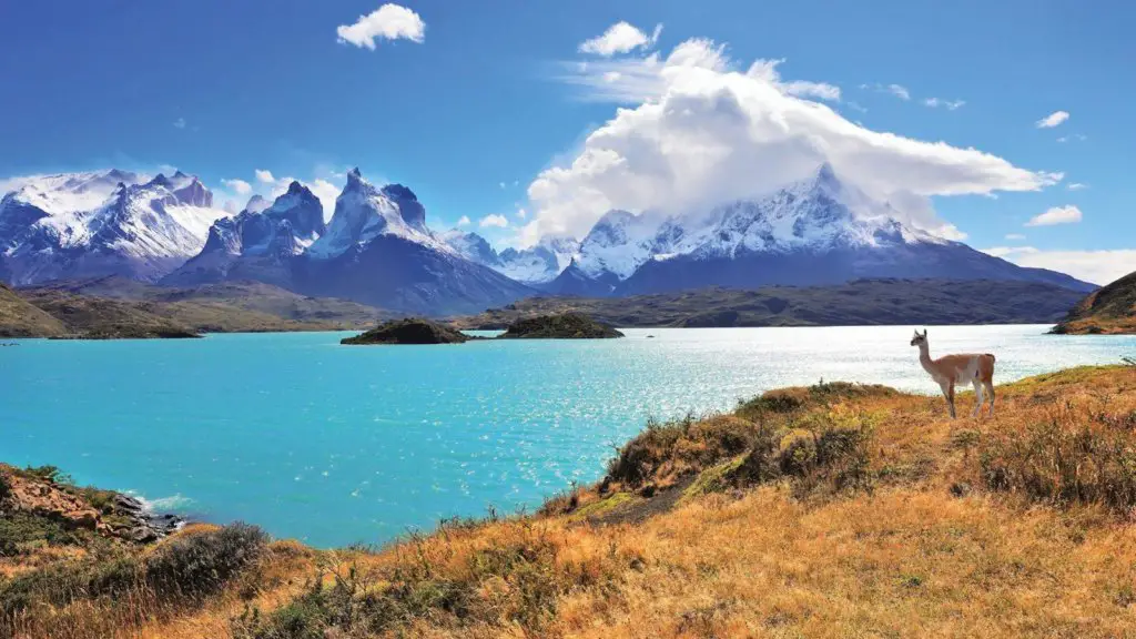 Top Unbelievable Attractions and Things To Do In Chile - museuly