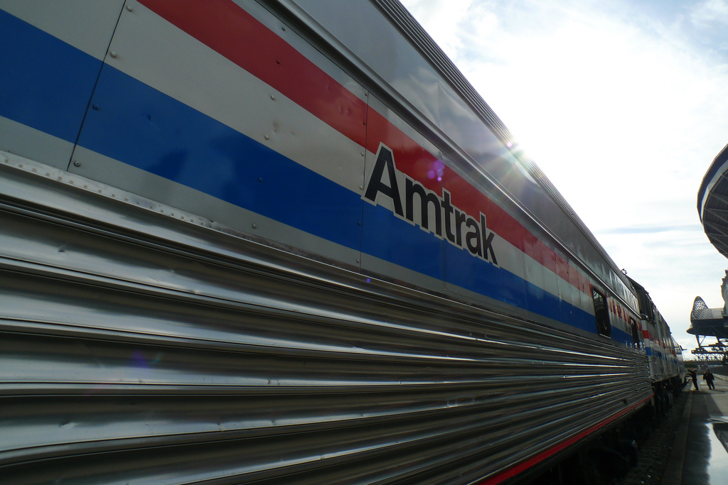 Amtrak Travel with Pets - Top Tips - museuly
