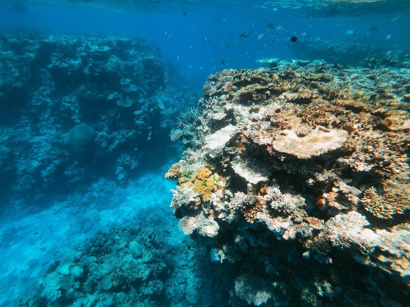 Student Travel in Hawaii and Australia: Everything You Need to Know ...